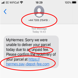 Section: Case Studies | Fraud & Scams 2 - Text Messages | Inclusive ...